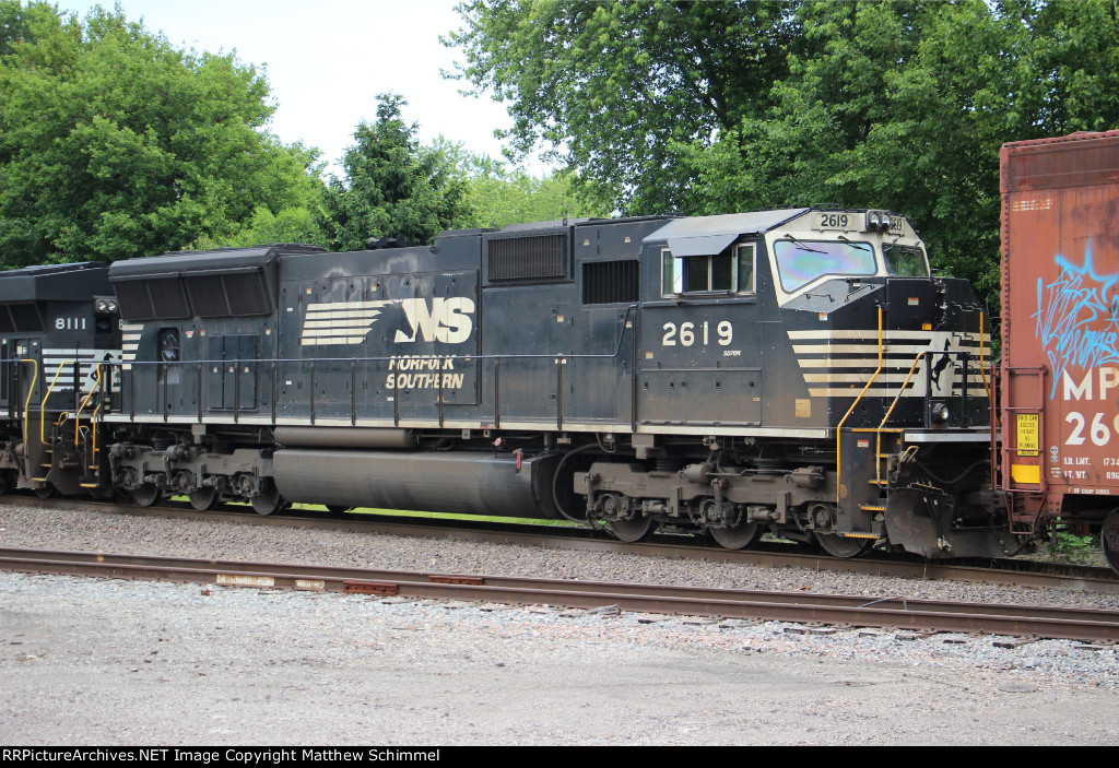 NS 2619 - White Face